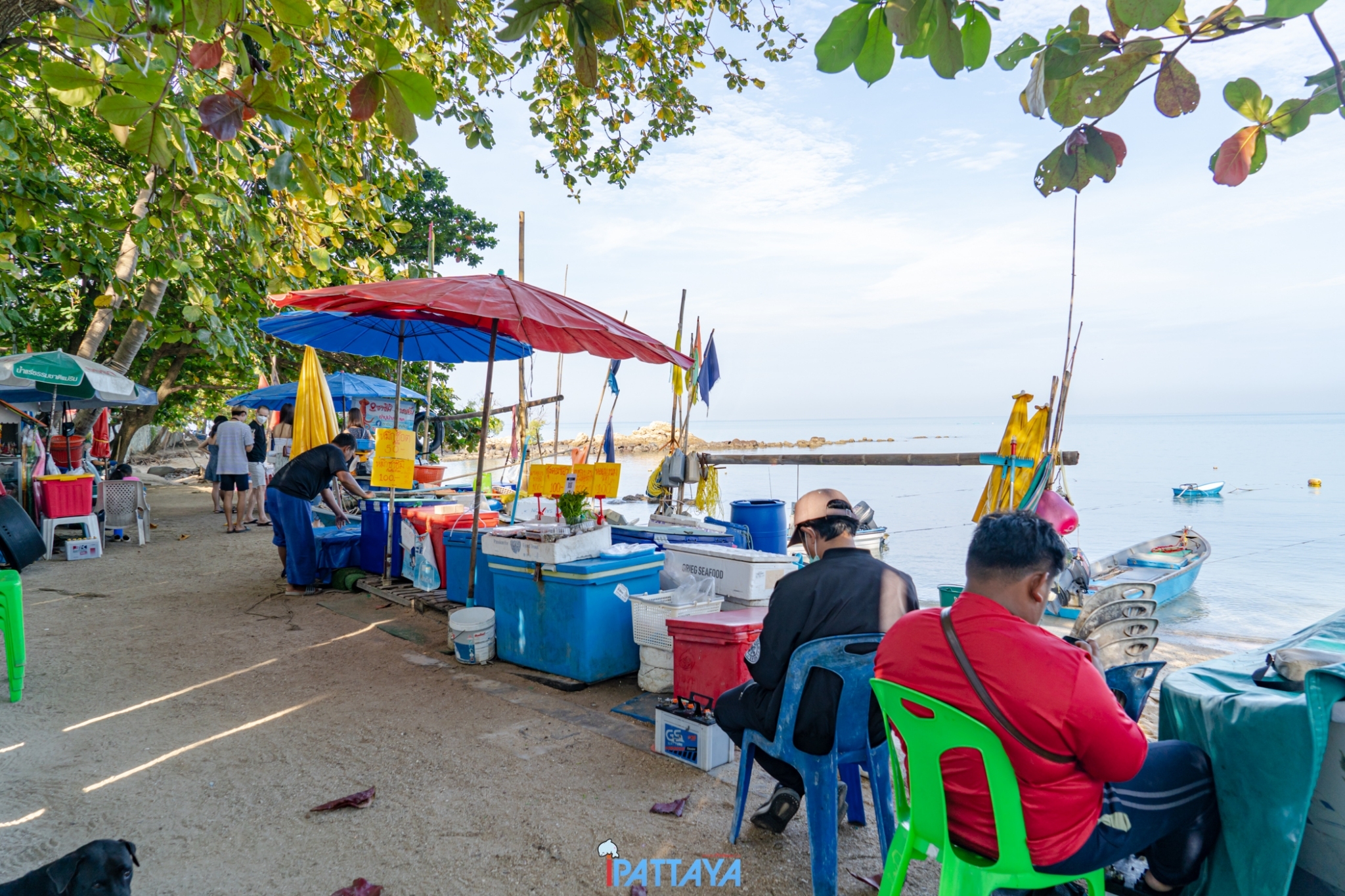LINE_ALBUM_หาดลับ_221114_9 | iPattaya เที่ยวไหนพัทยา